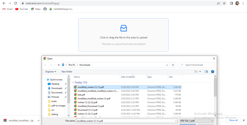 PDF to JPG convert Tools by WizBrand - DevOps Freelancer