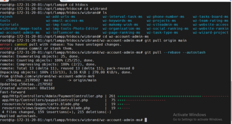 Error: Cannot pull with rebase: You have unstaged changes - DevOps Freelancer