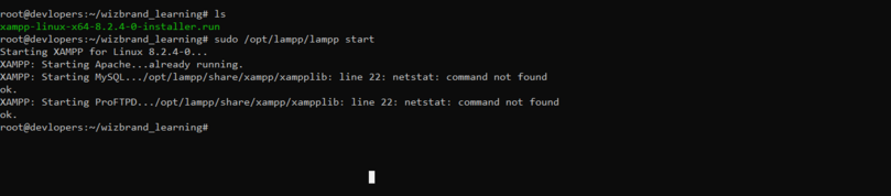 How to install and Configure XAMPP on WSL? - DevOps Freelancer