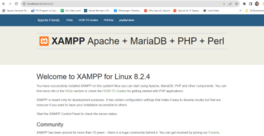 How to install and Configure XAMPP on WSL? - DevOps Freelancer